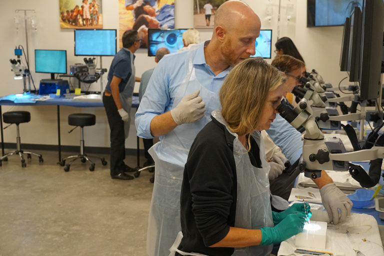 About MSICS - SEE International